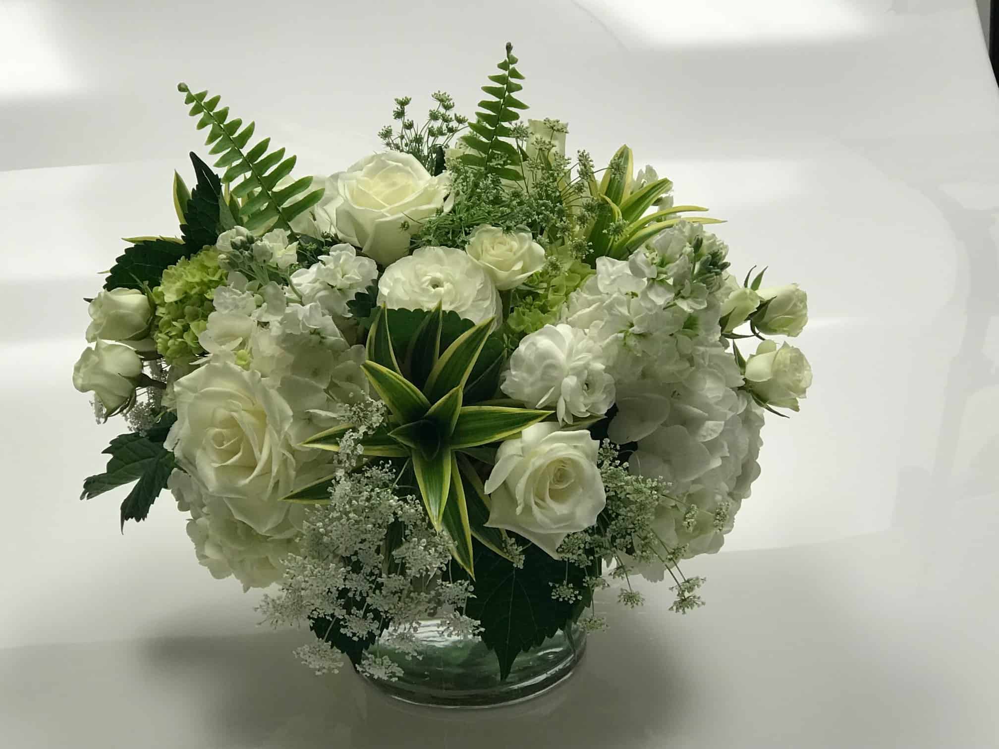 Oregonia Flower | Best Flower Site