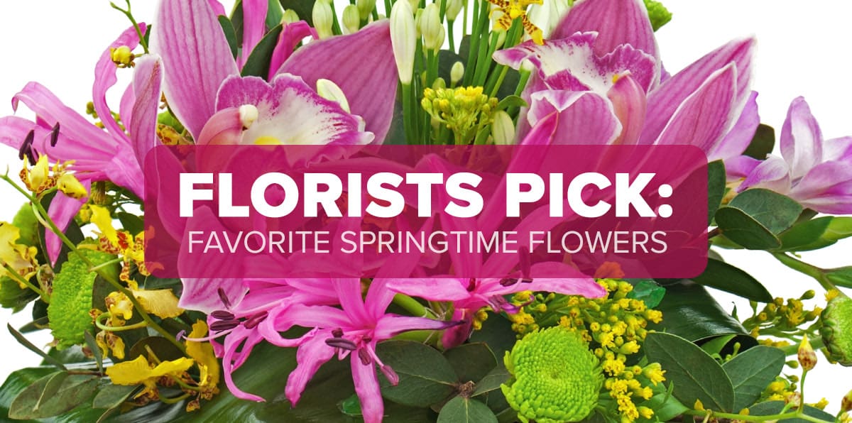 Our Favorite Spring Flowers - Carithers Flowers Atlanta